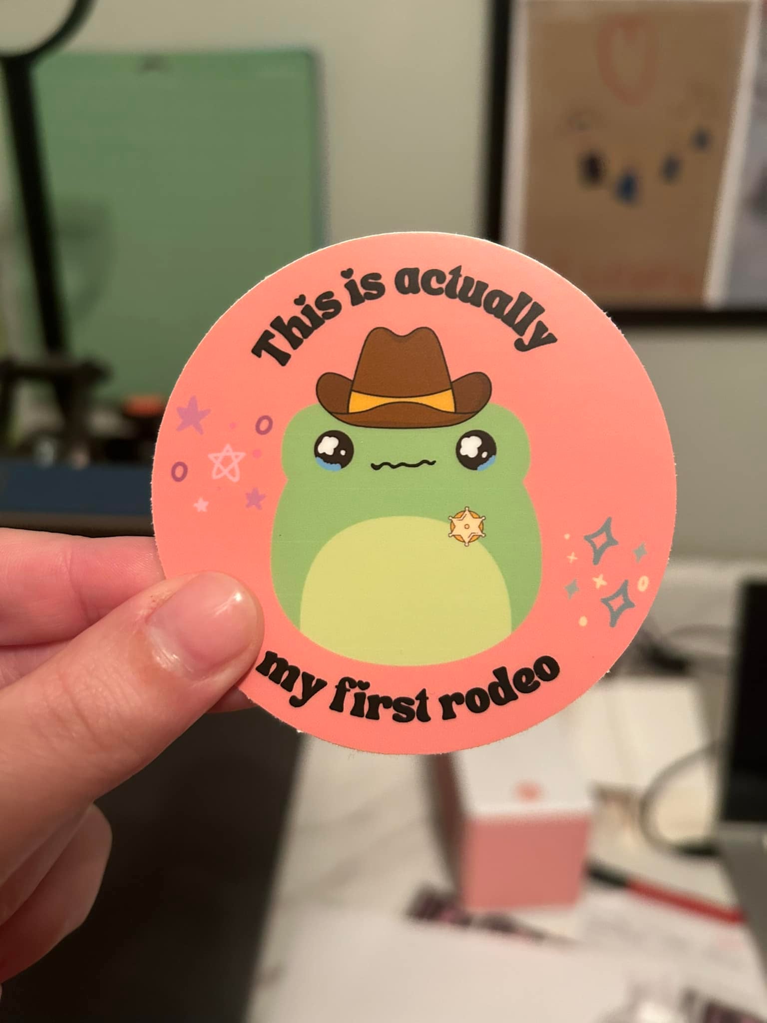 1st Rodeo Sticker Waterproof | Toadily Handmade