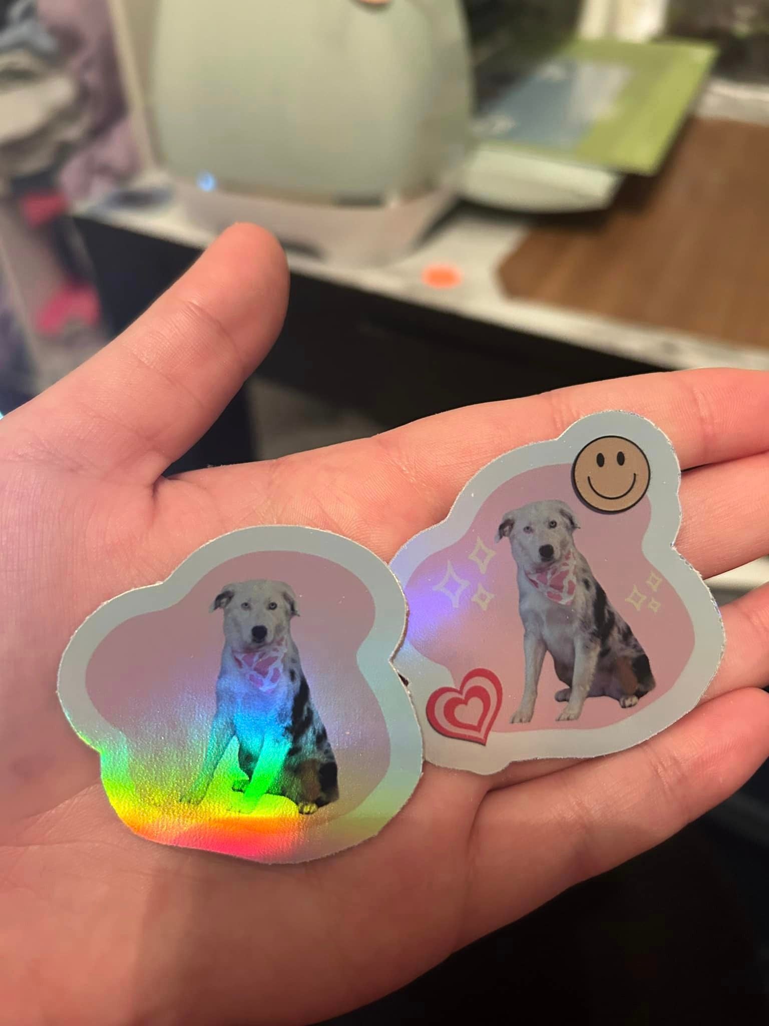 Custom Pet Sticker | Toadily Handmade